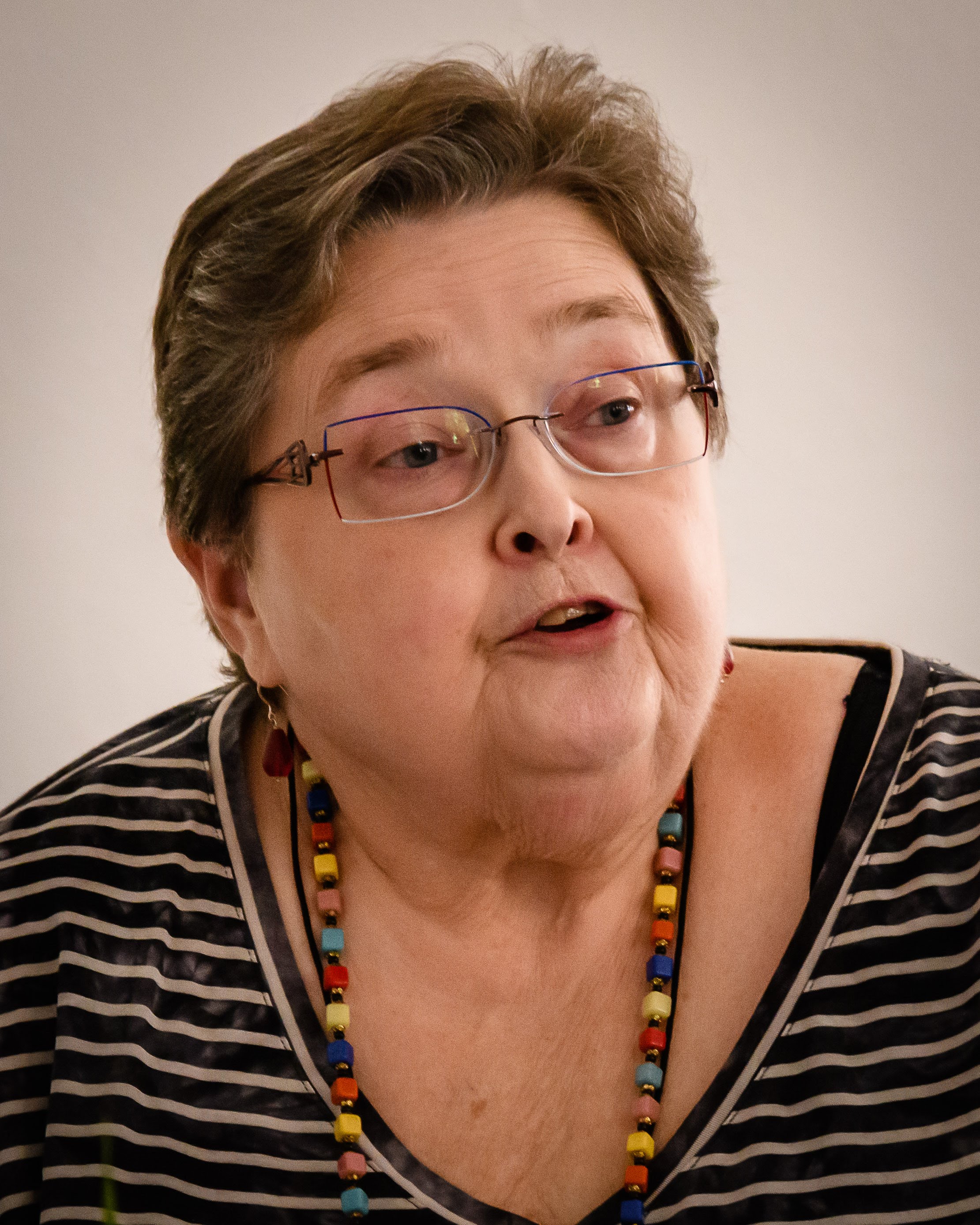 Meet the Board – The Historical Society of Sarasota County