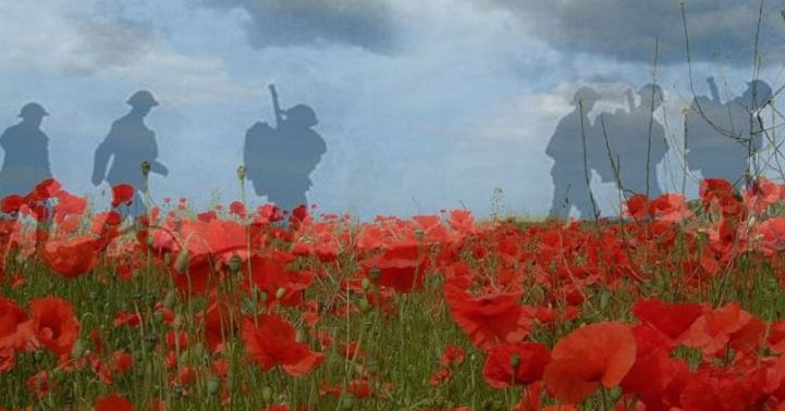 In Flander’s Field… – The Historical Society of Sarasota County